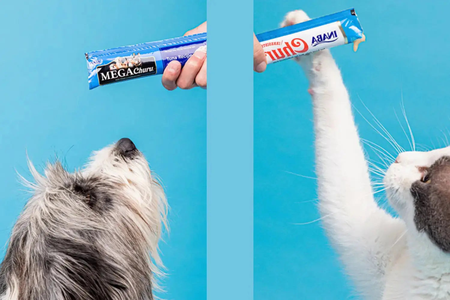 Wet Food Toppers for Cats & Dogs | Boost Hydration & Nutrition | Canine ...