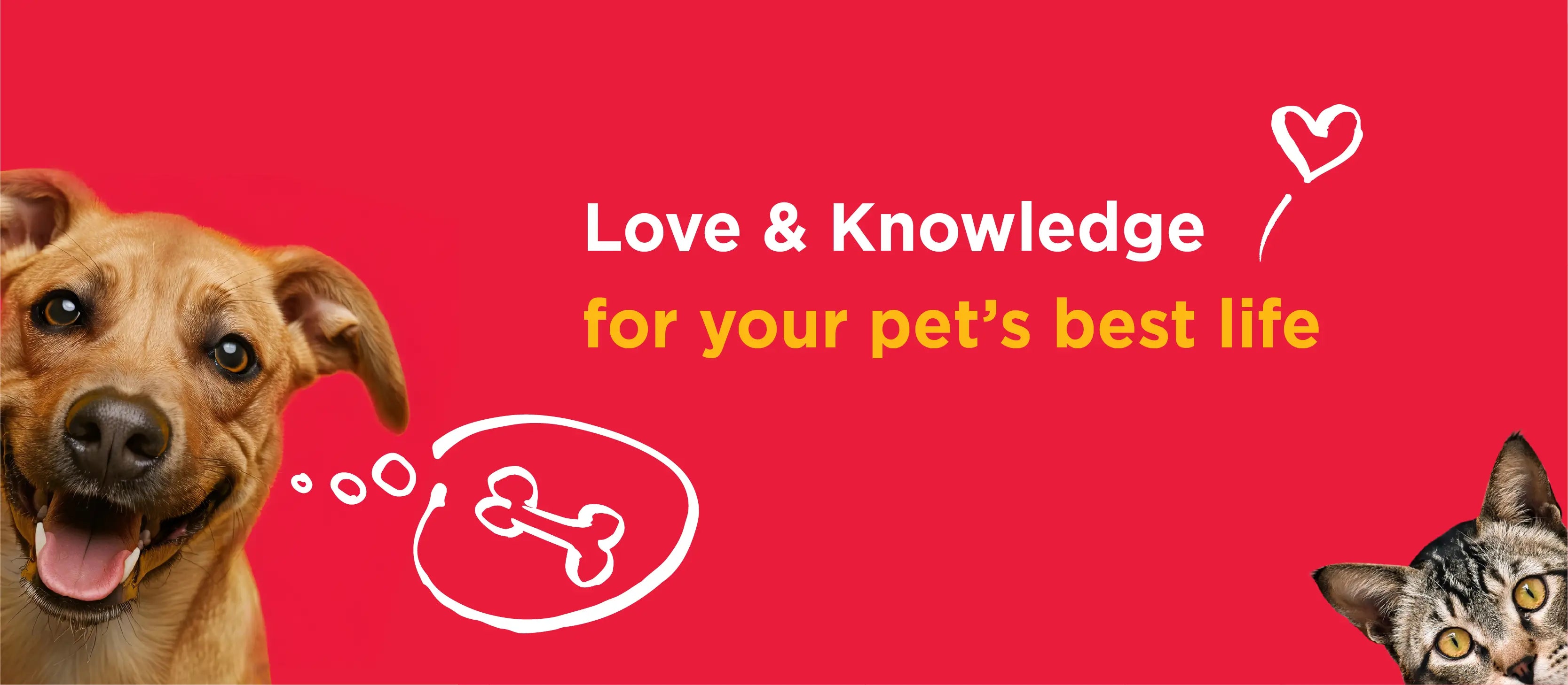Buy Afrivet Online: Great Value, Caring Service | Canine & Co