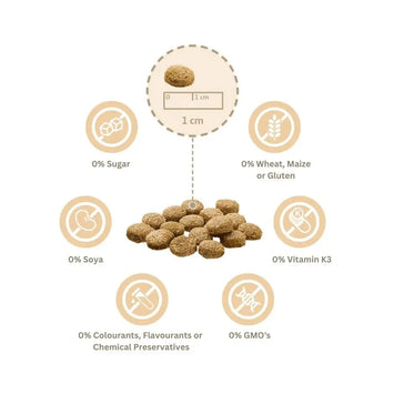 Buy Mera Pet Food Online: Great Value, Caring Service | Canine & Co