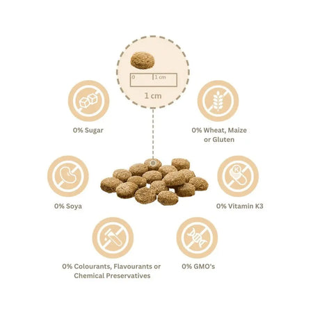 Buy Mera Pet Food Online: Great Value, Caring Service | Canine & Co