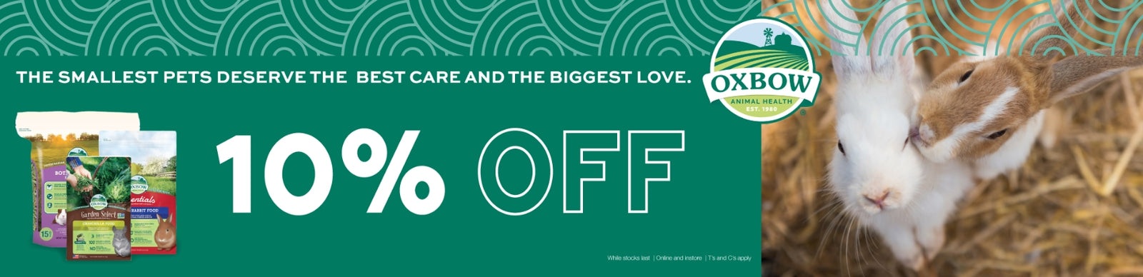 Canine & Co - Love & Knowledge For Your Pet's Best Life