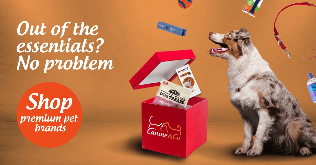 Buy Bravecto Tick & Flea Control Online: Low Prices, Fast Delivery ...