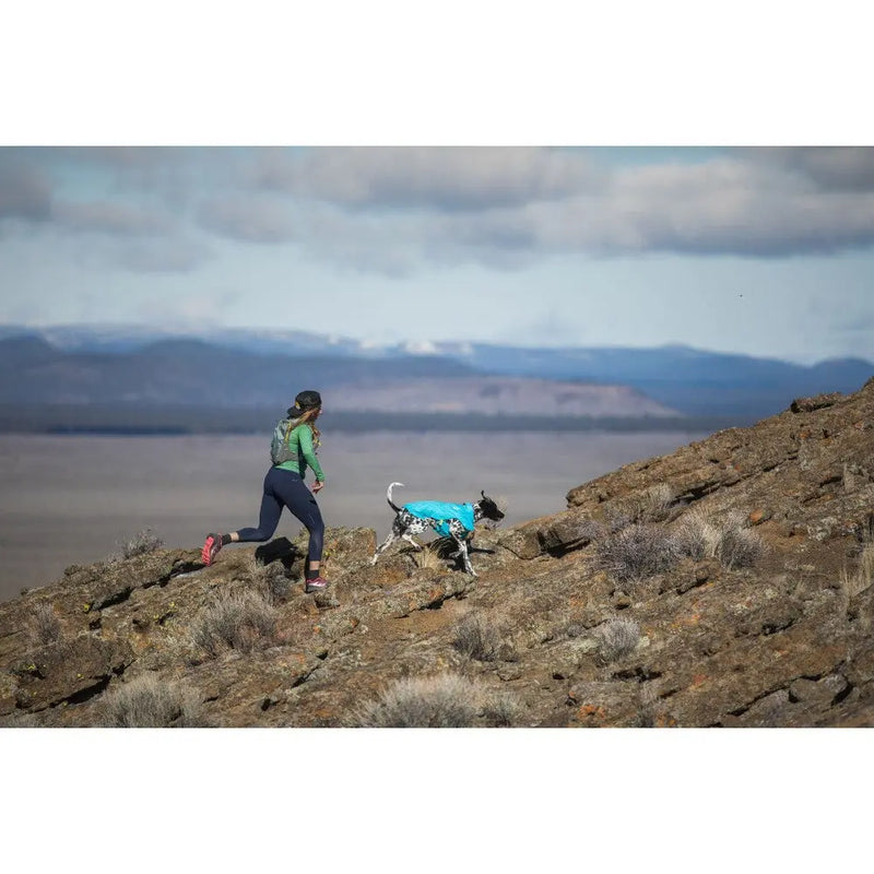 Ruffwear Wind Sprinter Dog Jacket | Buy Dog Jackets Online – Canine & Co