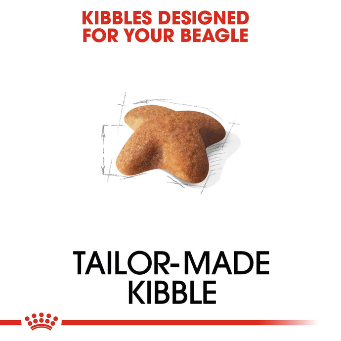 Royal Canin Beagle Adult Dog Food | Buy Online | Canine & Co