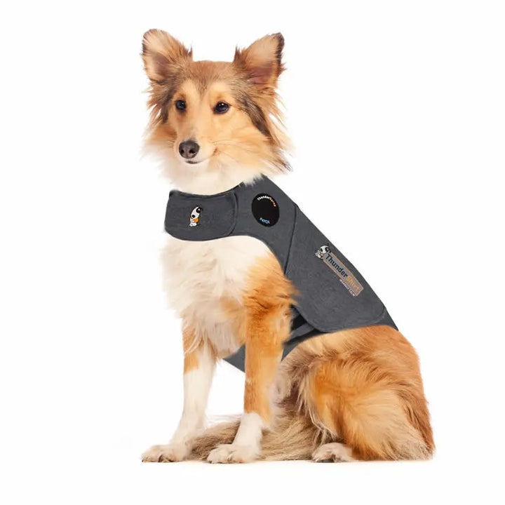 Buy Dog Jackets & Jerseys Online | Canine & Co